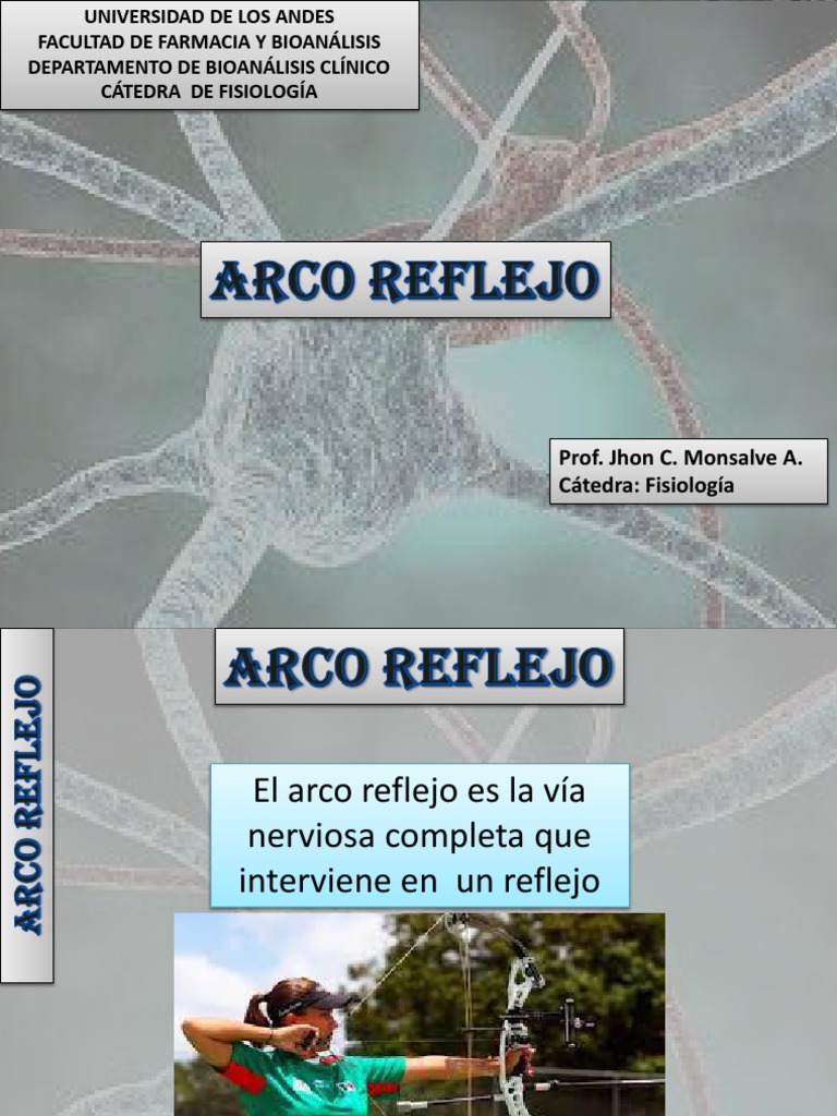 Arco Reflejo: Tipos y Características | PDF | Ciencia y matemáticas