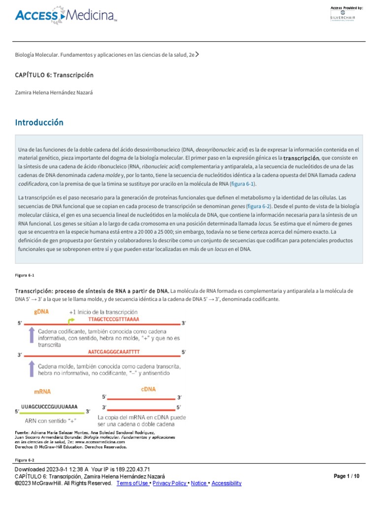Etapas de la Transcripción en Biología | PDF | Rna Splicing | Rna