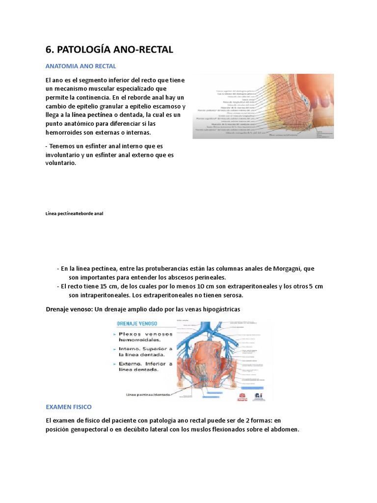 Patología Ano Rectal PDF | PDF | Hemorroides | Medicina CLINICA