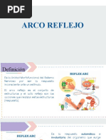 Esquema Arco Reflejo | PDF