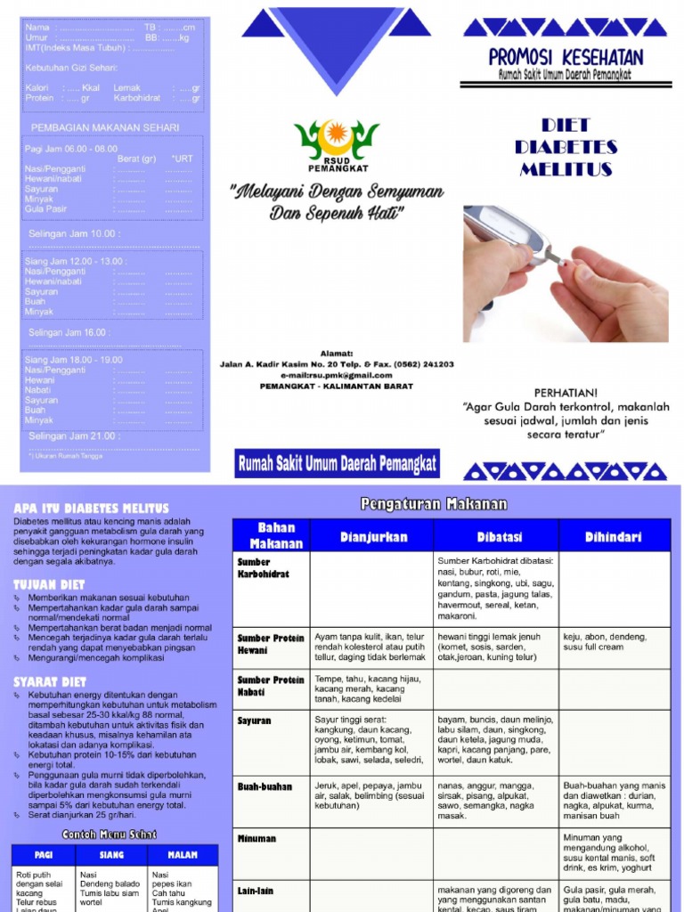 Leaflet DM Rsud PMK | PDF