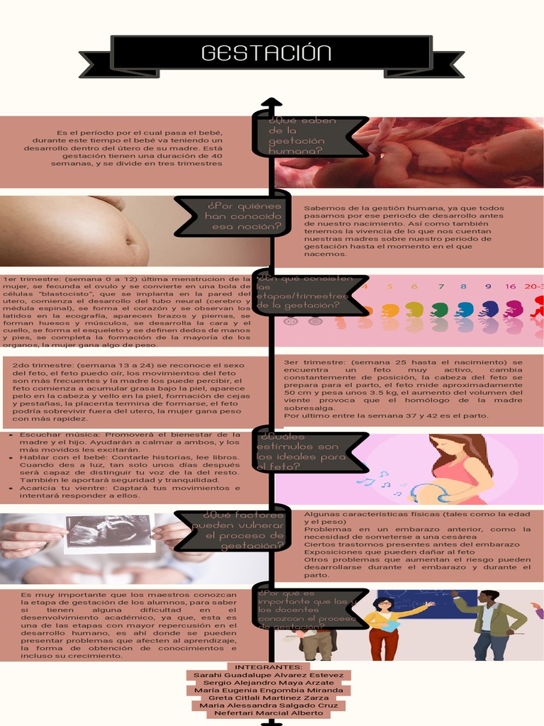 G Estación | Descargar gratis PDF | El embarazo | Feto