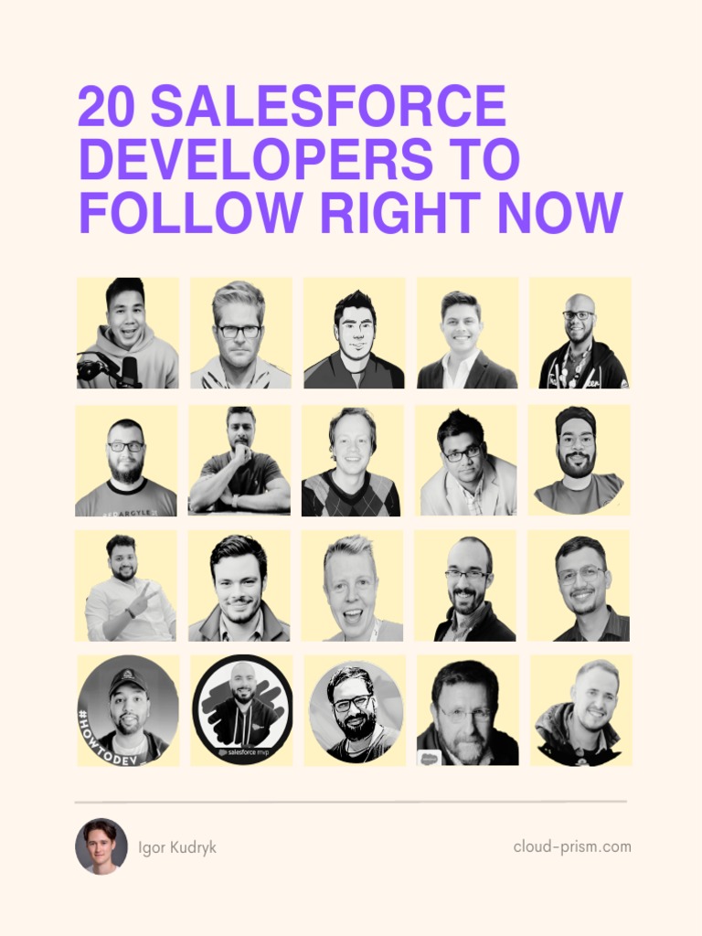 20 Developers To Follow | PDF