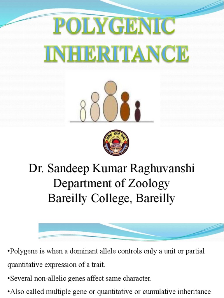 Polygenic Inheritance | PDF | Heredity | Quantitative Trait Locus