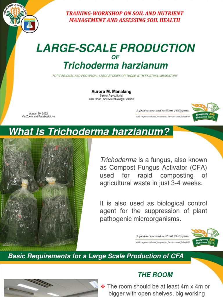 Trichoderma Production for Pest Control | PDF | Compost | Fungus