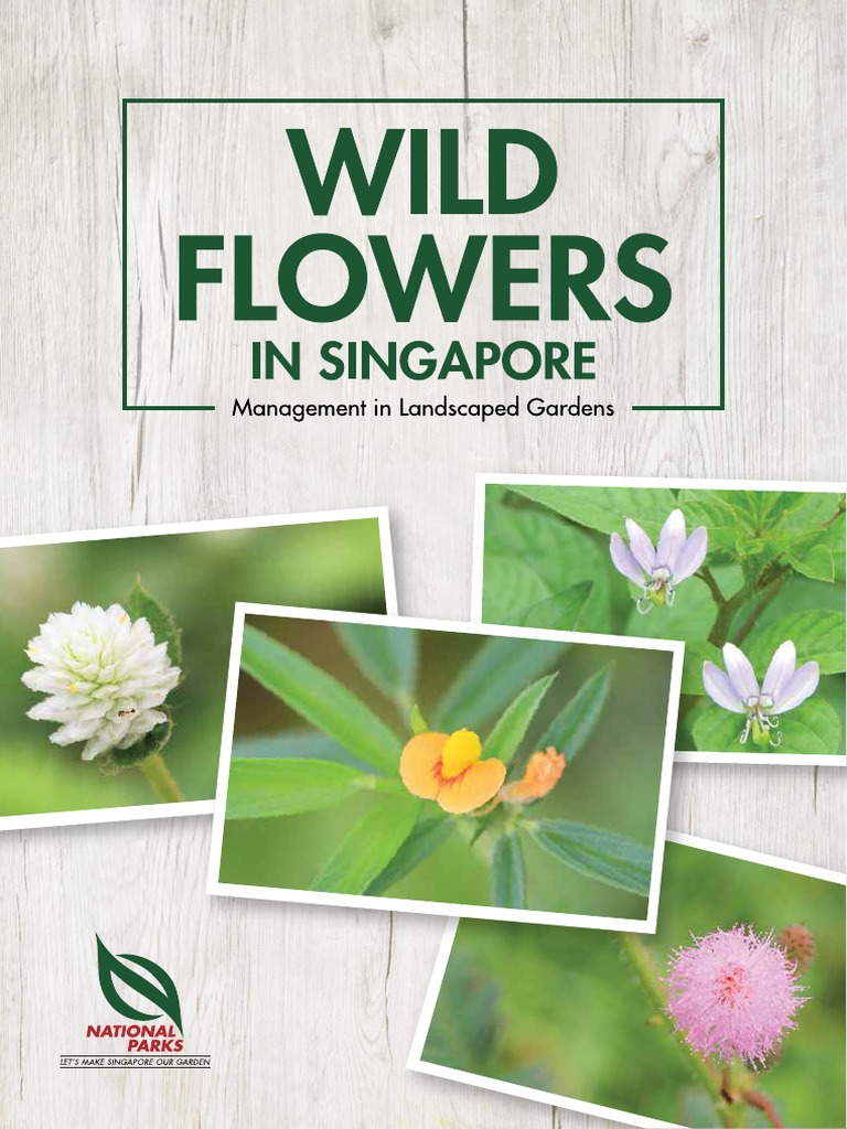NParks - Wild Flowers E Book | PDF | Flowers | Leaf