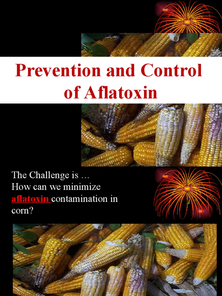 Aflatoxin Prevention And Control Pdf Maize Mycotoxin