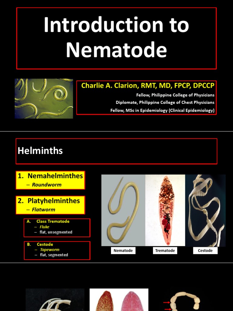 3-Introduction-to-Nematodes 2023 230614 094930 | PDF | Nematode ...