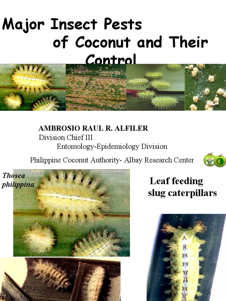 Control of Coconut Slug Caterpillars | PDF | Biological Pest Control ...