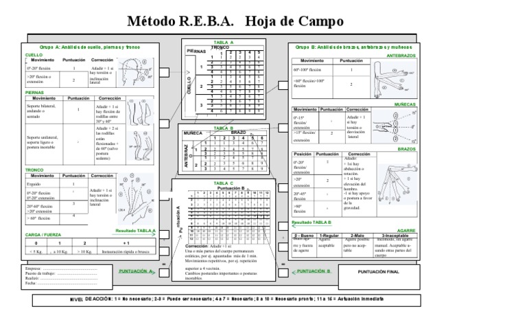 REBA Hoja Campo | PDF | Sistema musculoesquelético