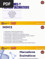 Ficha Técnica Quantrel | PDF | Medicamentos con receta | El embarazo
