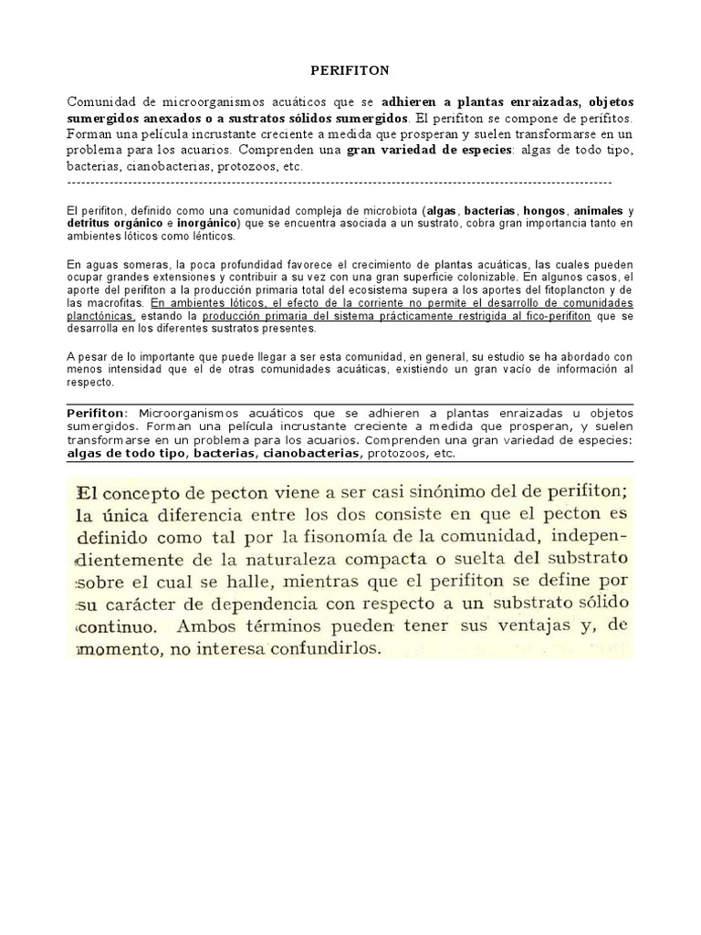 PERIFITON Definicion | PDF | Algas | Cianobacterias