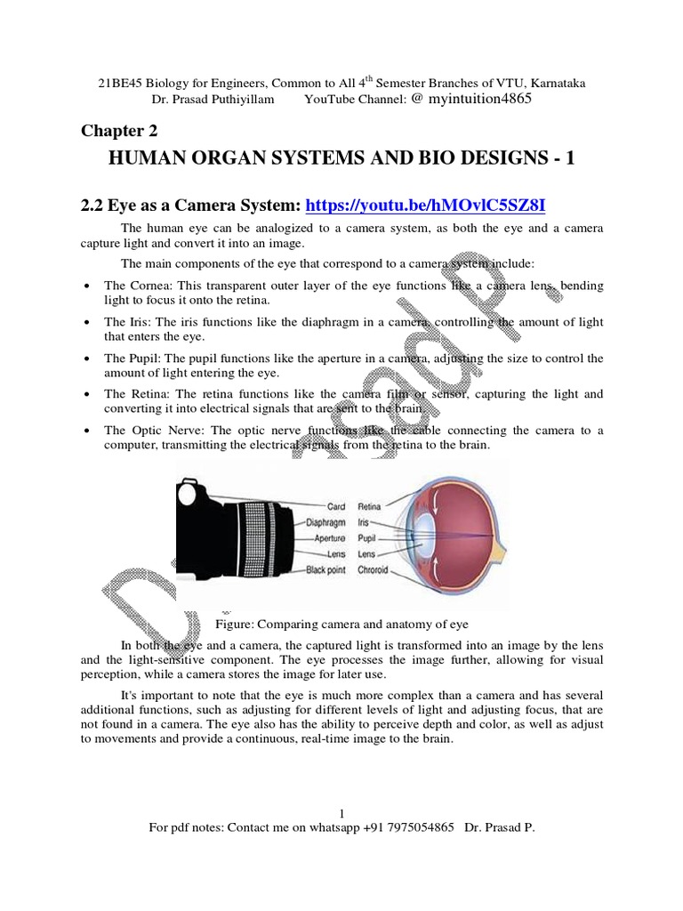 Human Organ Systems and Bio Designs - 1: at Myintuition4865 | PDF | Eye | Visual Perception