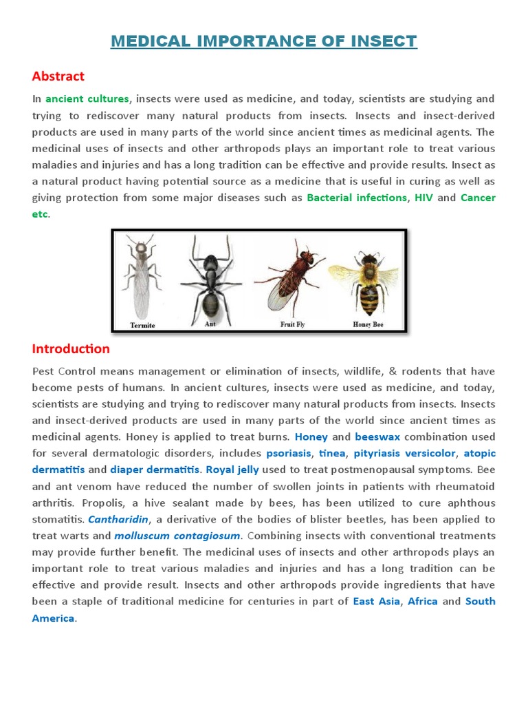 Medical Importance of Insect | PDF | Agriculture | Biodiversity