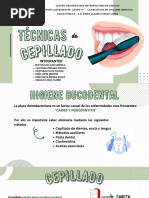 Técnica de Bass Modificada | PDF | Diente | Odontología