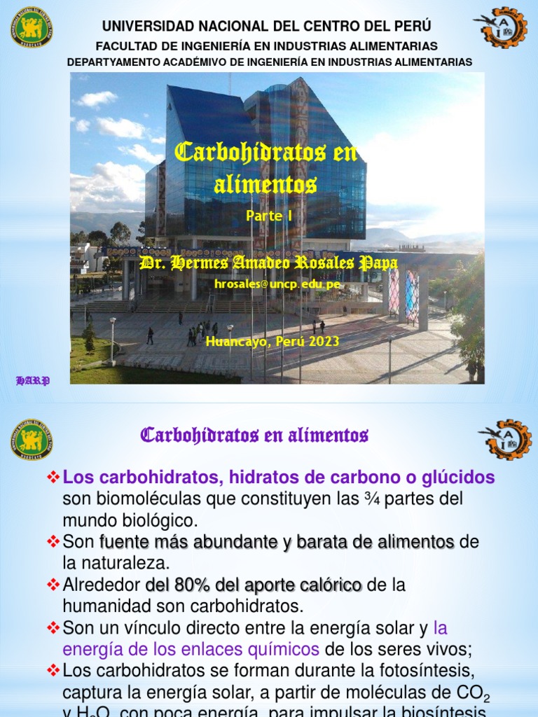 Carbohidratos: Estructura y Función | PDF | Carbohidratos | Glucosa