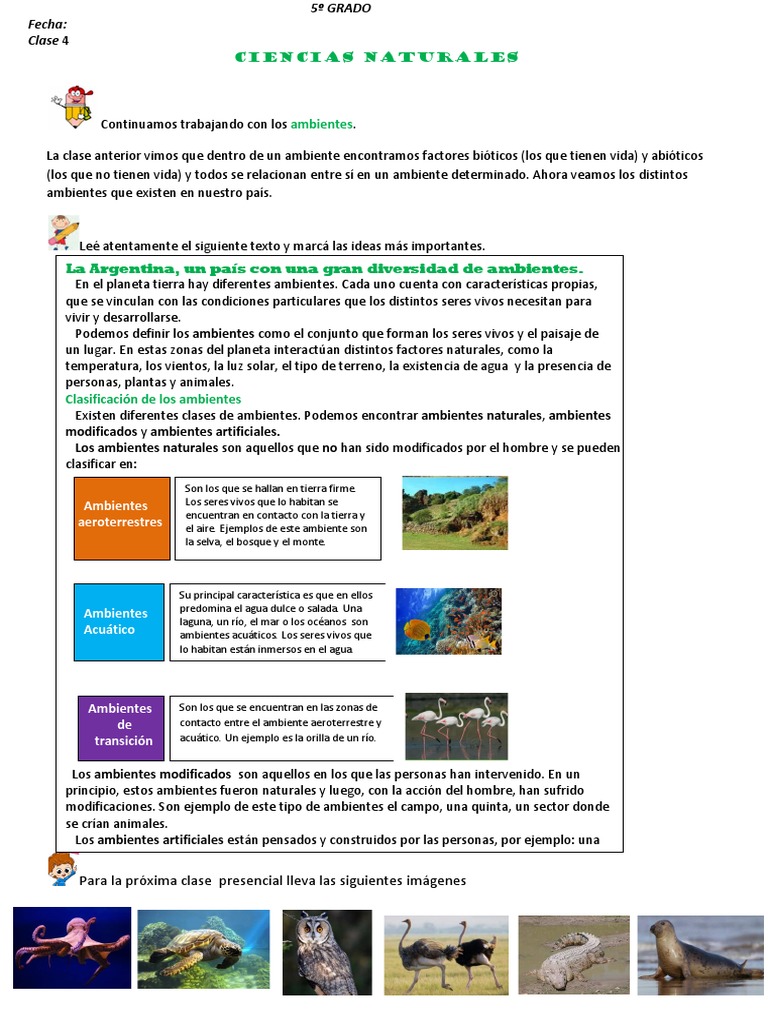 CLASE 4 Ciencias Naturales y Sociales 15-09 - 2021 | PDF | Entorno ...