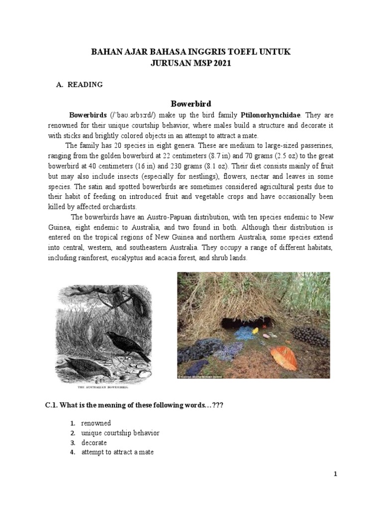 PREPOSITION Bower Bird 2021 | PDF | Ornithology | Organisms