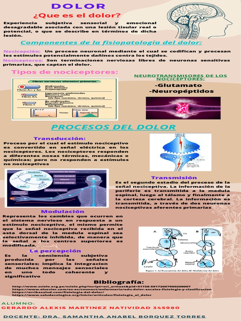 Infografia Dolor | PDF | Dolor | Neuropsicología