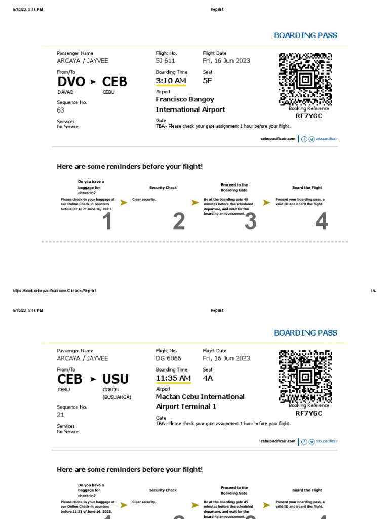 Boarding Pass | PDF | Aerospace | Airlines