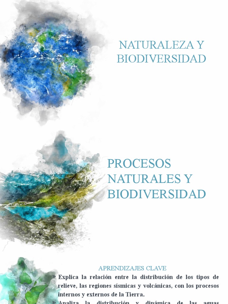 Procesos Naturales y Biodiversidad | Descargar gratis PDF | Tierra | Clima