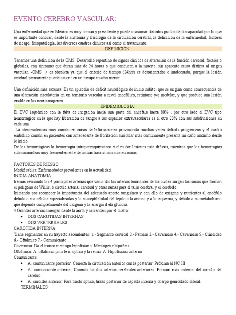 Evc Mio Final | PDF | Carrera | Cerebro