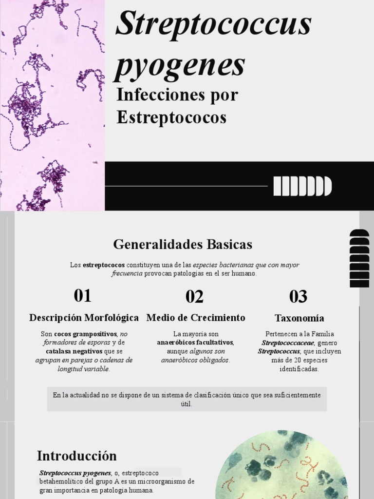 S. Pyogenes | PDF | Estreptococo | Especialidades Medicas
