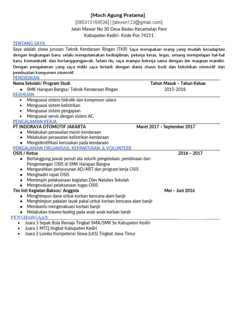 Contoh CV Versi Ats | PDF