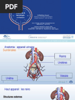 Examen Physique en Urologie | PDF | Prostate | Urologie