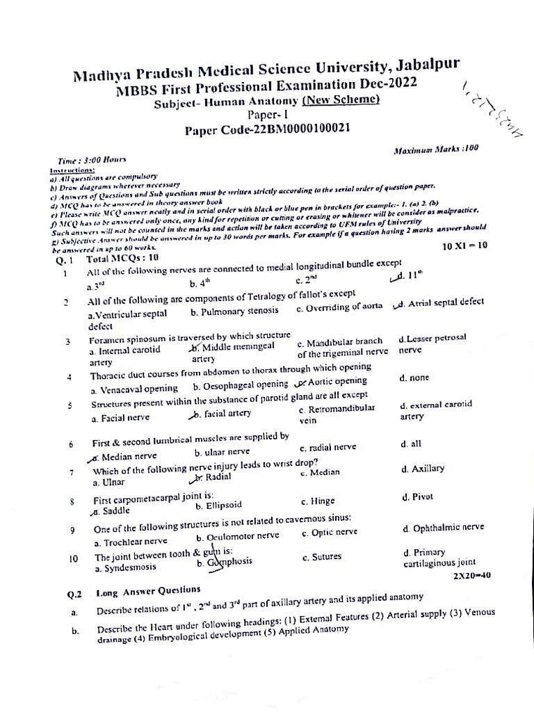 Anatomy 1st Paper (New Scheme) MPMSU | PDF