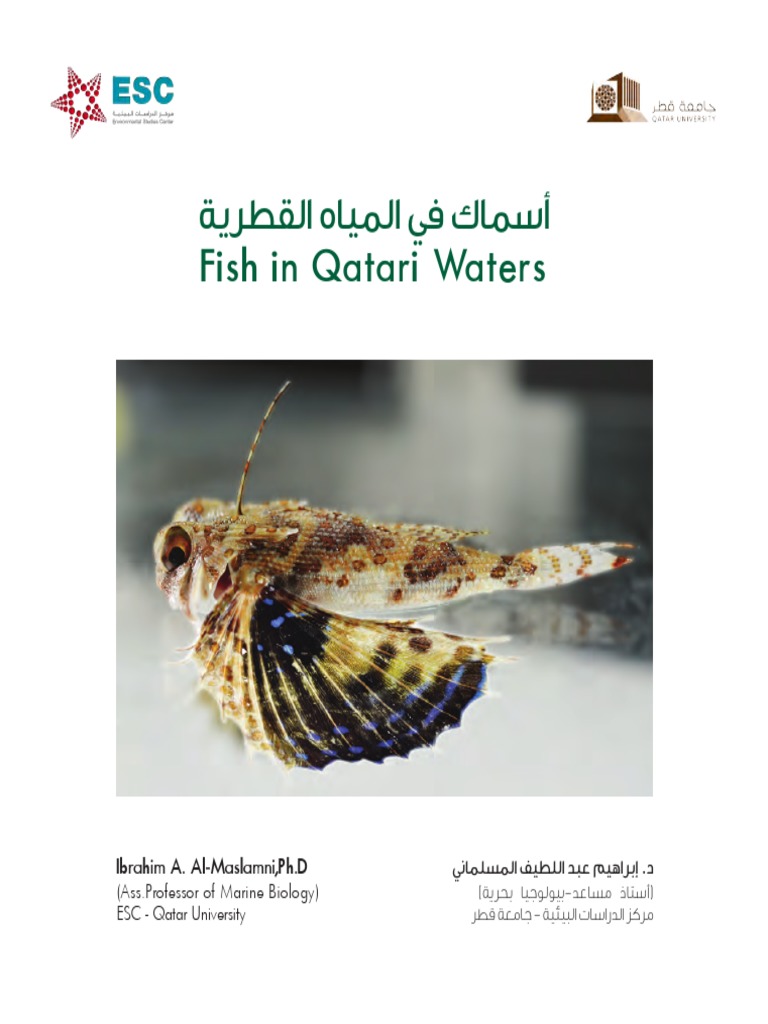 Qatar Fish | PDF