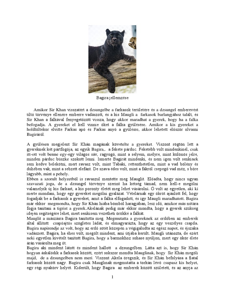 Bagira Jellemzése | PDF