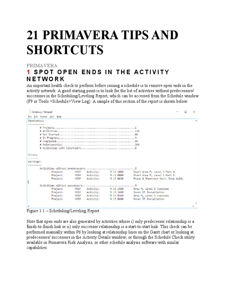21 Tips Primavera P6 | Download Free PDF | Microsoft Excel | Spreadsheet