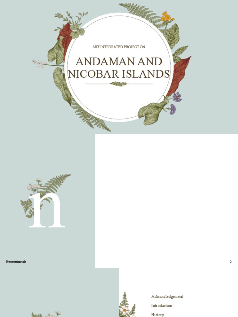 and Nic Islands | PDF