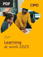 LPI Capability Map Guide v1.08 | PDF | Strategic Management | Governance