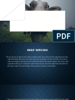 Official List of Breed Codes For Bovine: Beef Breeds | PDF | Livestock | Mammal Breeds