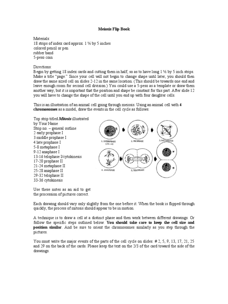 Meiosis Flip Boo1 | PDF | Meiosis | Mitosis