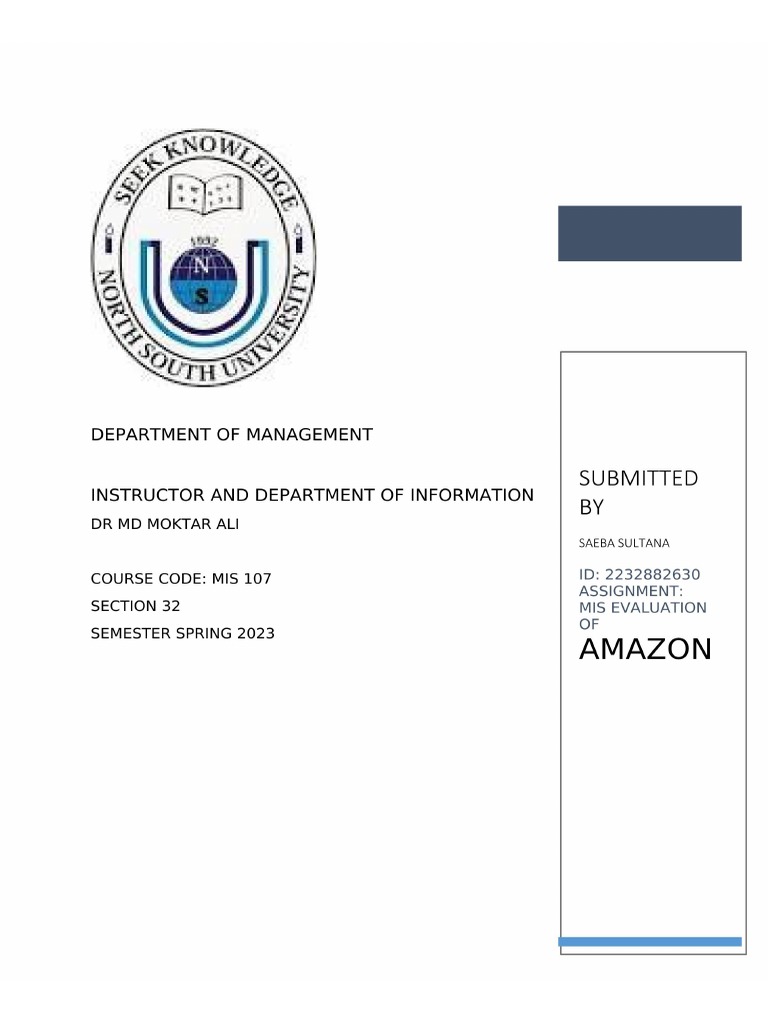 MIS Amazon (1) | PDF