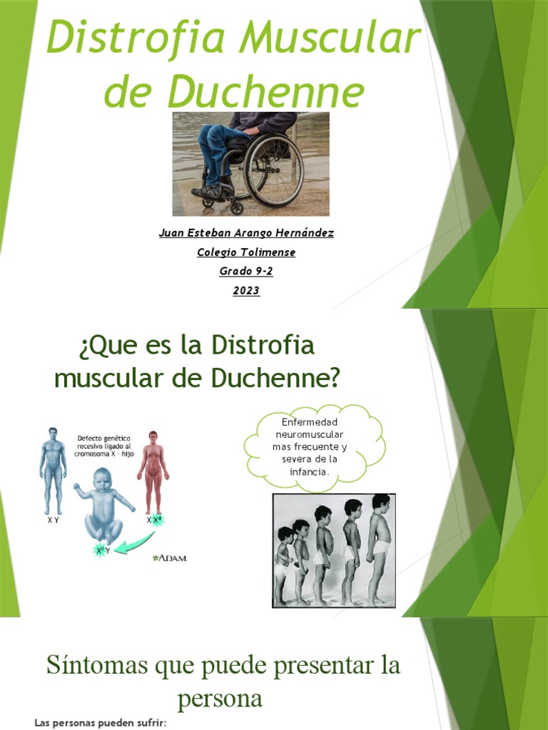 Distrofia Muscular de Duchenne: Síntomas y Tratamientos | PDF ...
