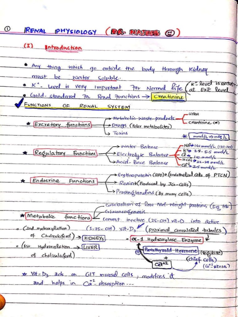 Renal Notes DR Najeeb Notea | PDF