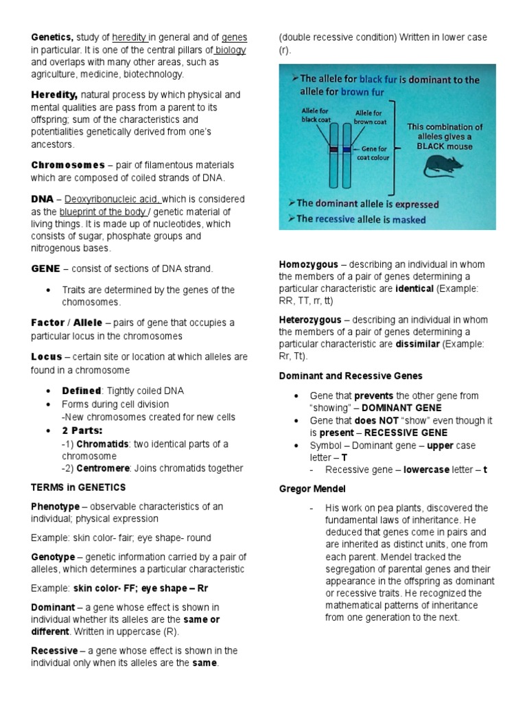 Genetics | PDF | Dominance (Genetics) | Gene