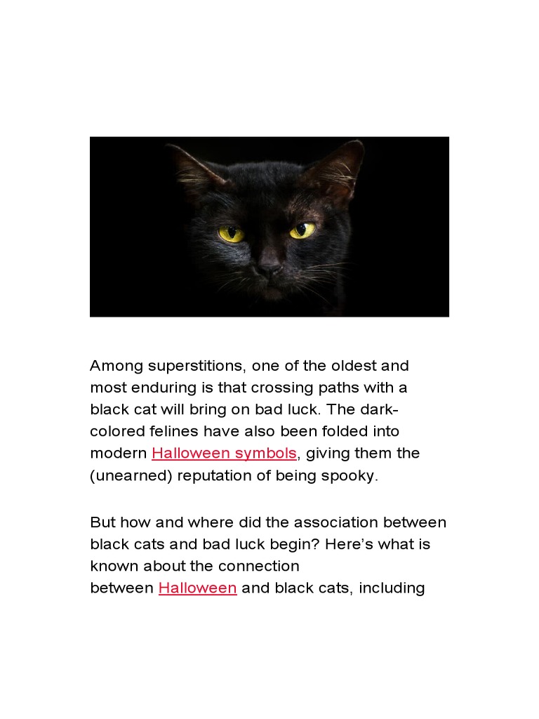 Why Black Cats Are | PDF | Witchcraft | Cats
