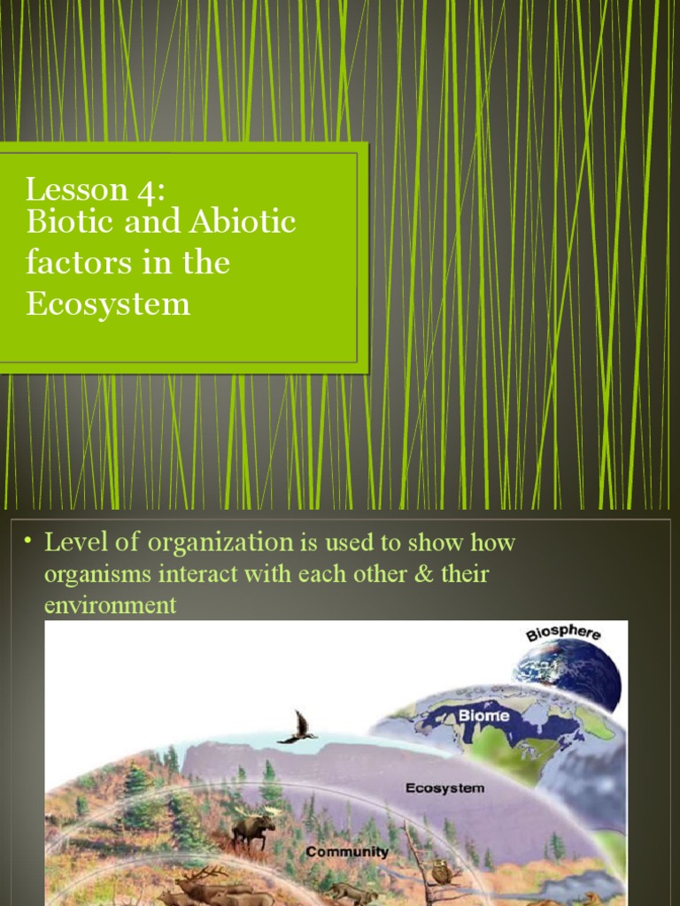 Biotic and Abiotic Factors in The Ecosystem Lesson 4 | PDF | Ecosystem ...