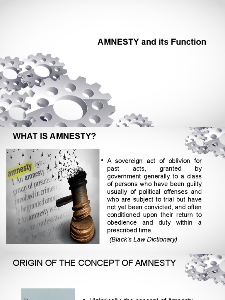 Amnesty and Its Function | PDF | Pardon | Amnesty