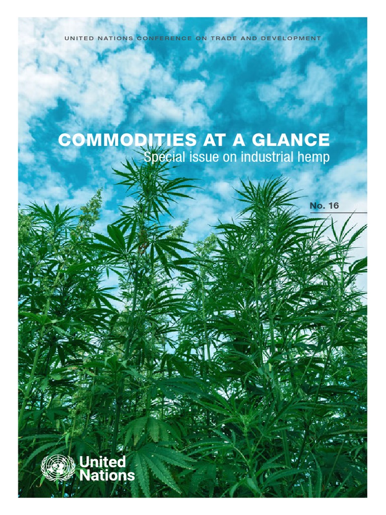 ONU (2022) - COMMODITIES AT A GLANCE Spacial Issue On Industrial Hemp | PDF | Cannabis | Hemp