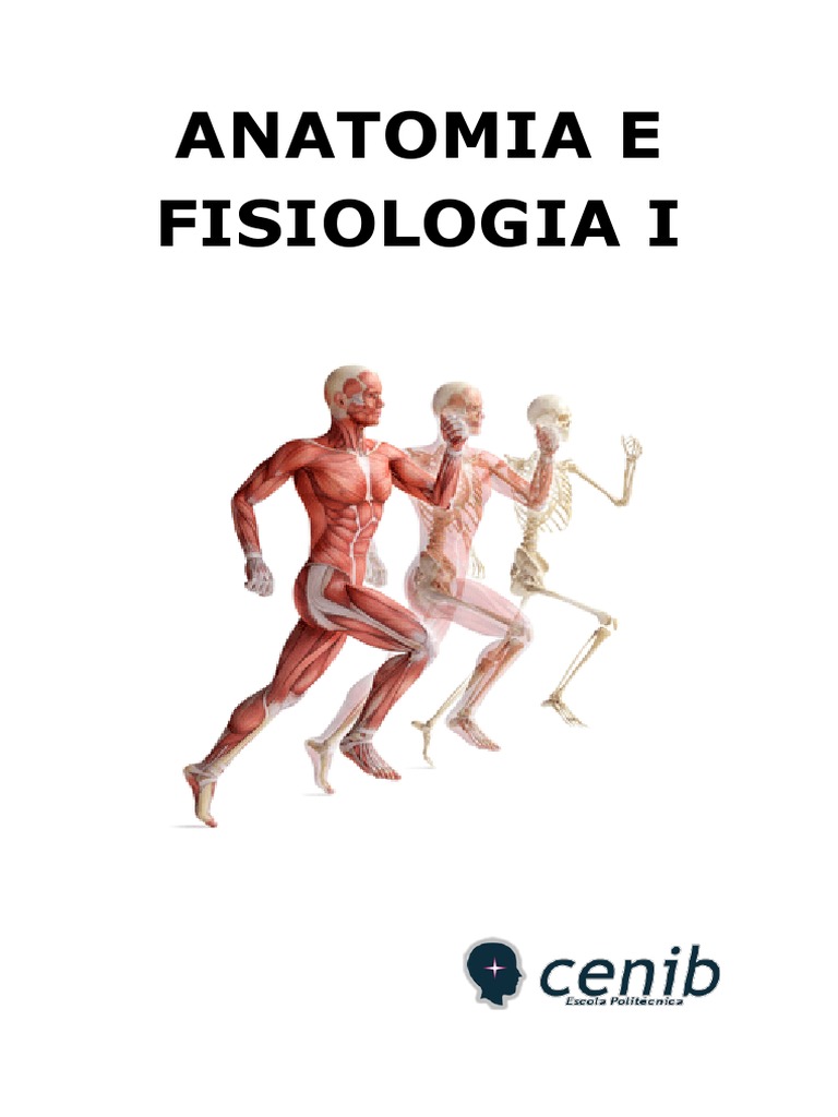 Anatomia e Fisiologia: Estruturas e Funções | PDF | Osso | Esqueleto