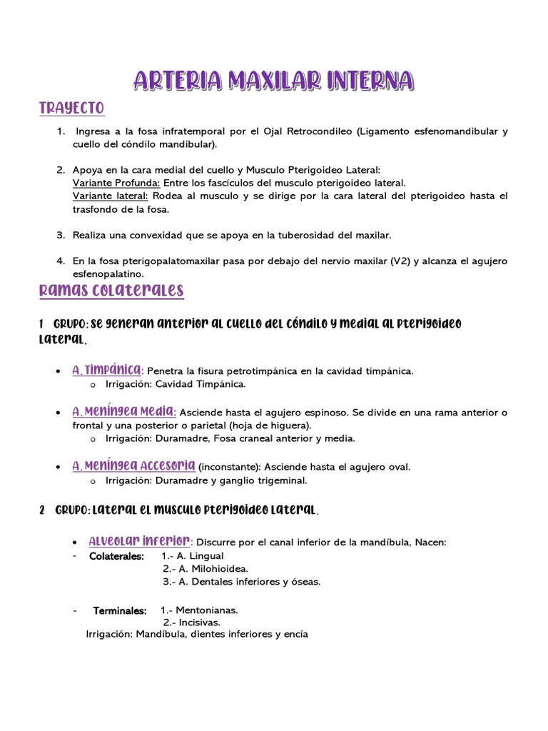 Arteria Maxilar | PDF