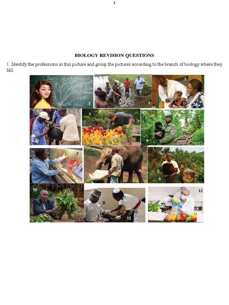 Activity of Integration (Biology) | PDF | Organisms | Agriculture