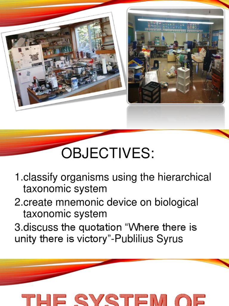 System of Classification 171007024939 (Jona) | PDF | Taxonomy (Biology ...