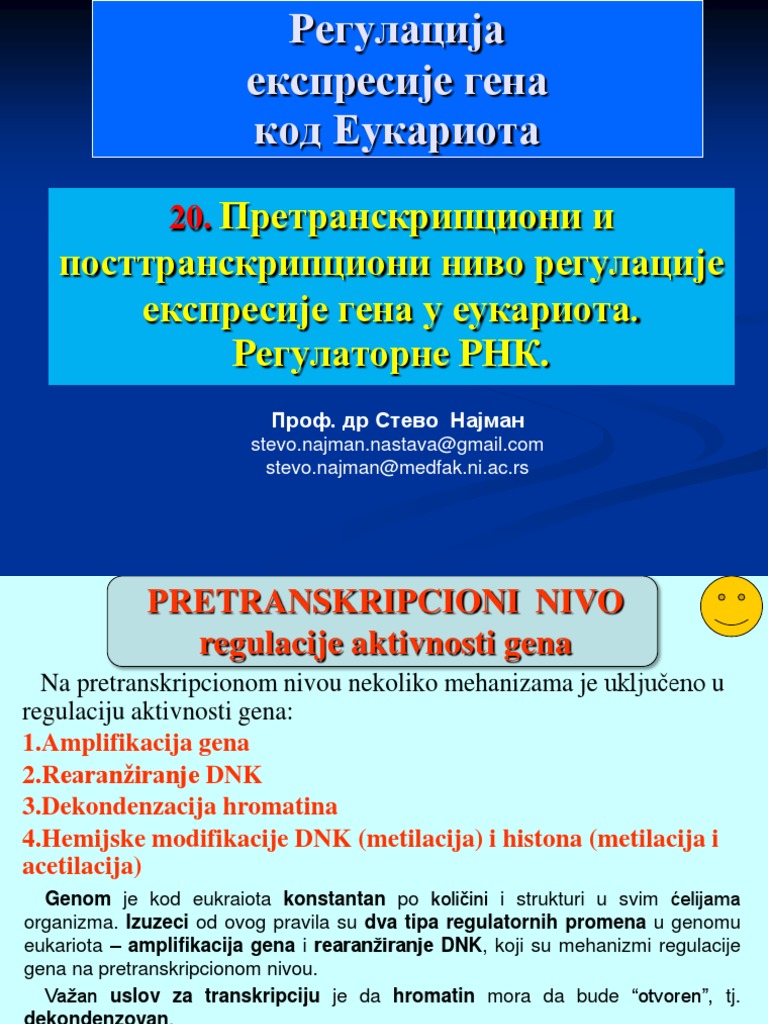 21 I 22. MHG 21 - Regulacija Gena Eukariota Pre I Posttransk. Epigenetika | PDF